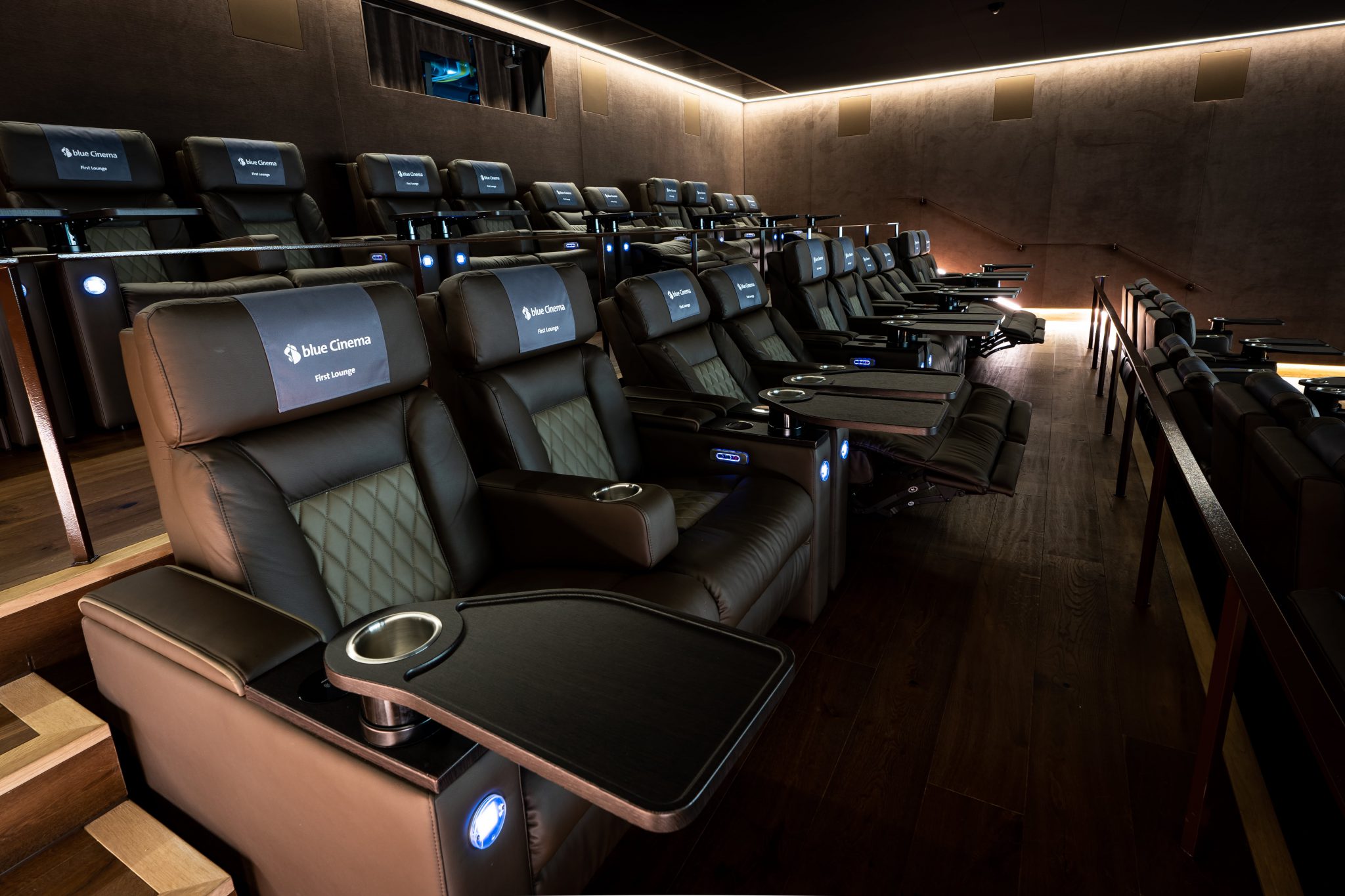 Cinedome Abtwil: Cinema with VIP & 4DX | blue cinema